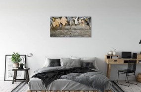 Obrazy na plátně Větvičky dárky kužely 140x70 cm