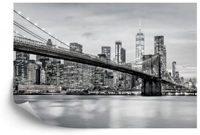 Fototapeta Brooklyn Bridge Nyc V Černé A Bílé Strukturální vinyl 135x90
