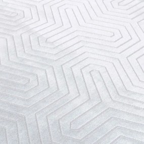 Vopi | Kusový koberec Style 8901 silver - 80 x 250 cm