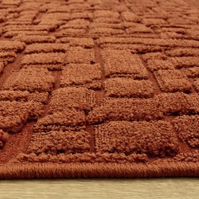 Koberec v terakotové barvě 200x290 cm – Asiatic Carpets