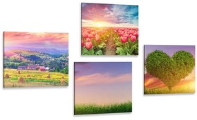 Set obrazů příroda v pastelových barvách - 4x 40x40 cm