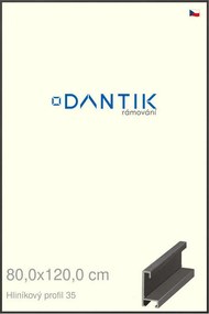 DANTIK rámeček 80x120 | ALU profil 6035 Dýha černá (Plexi Čiré)