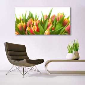 akrylový obraz Tulipány Květiny Rostlina 120x60 cm