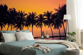 Samolepící tapeta západ slunce nad palmami - 375x250 cm