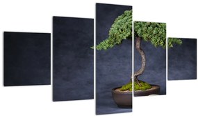 Obraz - Bonsai (125x70 cm)