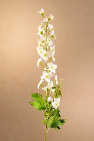 Paramit DELPHINIUM Aranžovací květina bílá 80 cm