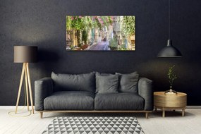 Obraz na skle Aleje Květiny Domy Rostlina 100x50 cm