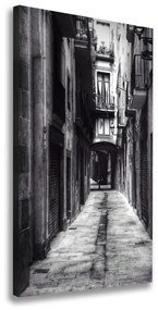 Wallmuralia Vertikální Foto obraz na plátně Barcelona Španělsko 50x100