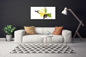 Obraz na plátně Vanilka Listy Rostlina 125x50 cm