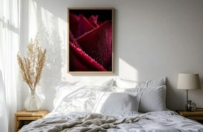 Sametový detail - obraz - Makro růže s kapkami vody 47 - A4 – 210 × 297 mm - 149 Kč