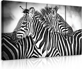 Obraz 120x80 Zebra pruhy černobílé safari zvířata příroda vzor grafika