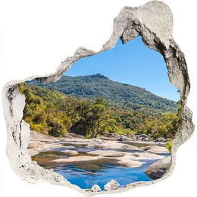 Wallmuralia Nálepka fototapeta 3D na zeď Řeka v lese 75x75 cm