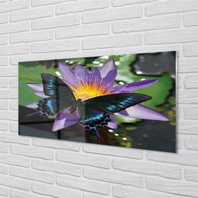 Obraz na skle motýl květina 100x50 cm