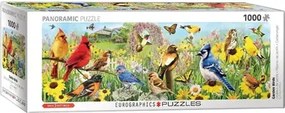 EUROGRAPHICS Panoramatické puzzle Zahradní ptáci / 1000 dílků / 99 x 3