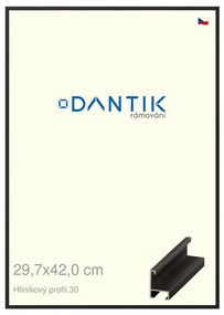 DANTIK rámeček 29,7x42 | ALU profil 6030 Černá matná (Plexi Čiré)