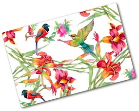 Wallmuralia Kuchyňská deska skleněná Egzotičtí ptáci 80x52 cm