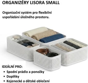 Rotho Úložný box do šuplíku, šatní organizér LISORA SMALL, 25,8 x 10,3 x 10 cm