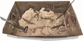 4M Dinosauří kostra - REX / od 8 let