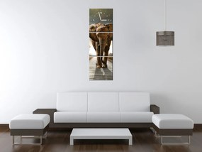 Gario Obraz s hodinami Osamělý silný slon - 3 dílný Rozměry: 90 x 70 cm