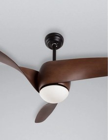 Matně černé/v tmavě přírodní barvě kovové LED stropní svítidlo se skleněným stínidlem Breeze – Nova Luce