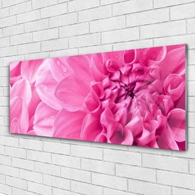 akrylový obraz Květiny Rostlina Příroda 125x50 cm