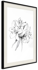 Artgeist Sketch of Lillies Velikosti (šířkaxvýška): 30x45, Finální vzhled: Černý rám s paspartou