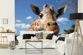 DIMEX | Samolepicí vliesová fototapeta na zeď Žirafí selfie MA-5-0445 | 375 x 250 cm | zelená, béžová, hnědá