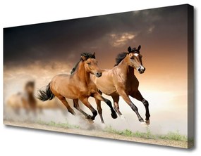 Obraz na plátně Koně Zvířata 140x70 cm