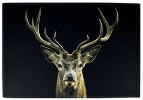 Černá podlahová rohožka jelen Black Deer - 75*50*1cm