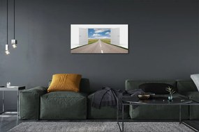 Obrazy na plátně Polní cesta 3d dveře 100x50 cm
