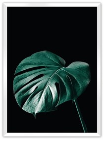 Plakát Dark Monstera