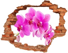 Wallmuralia Samolepící díra nálepka Růžová orchidej 90x70 cm