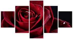 Obraz - Rudá růže (125x70 cm)