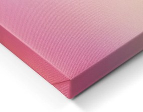 Tištěný obraz na plátně 70x100 cm Pink Aura – Styler