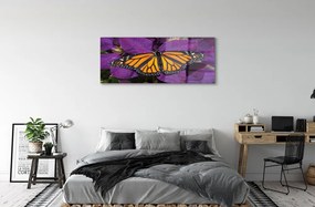 akrylový obraz Barevný motýl květiny 120x60 cm