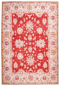 Kayoom Kusový koberec Faye 625 Červená Rozměr koberce: 110 x 180 cm