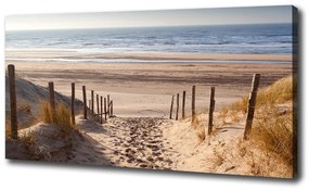 Wallmuralia Foto obraz na plátně Mořské duny 100x50