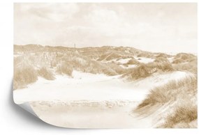 Fototapeta Dune Paradise Faded Vintage In Sepia Hladký vinyl 152.5x104