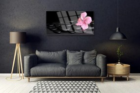 Obraz na skle Kameny Květ Umění 100x50 cm