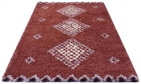 Kusový koberec SHAGGY XSH-53 200x290cm