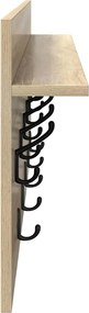 věšák, nástěnný, 1 prkno, háčky, kompozitní dřevo, 40x100x12 cm, dub sonoma, Dekorino TK20260019