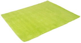 AYYILDIZ TEPPICHE Kusový koberec SPRING GREEN BARVA: Zelená, ROZMĚR: 140x200 cm