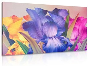 Obraz květinová fantazie - 60x40 cm