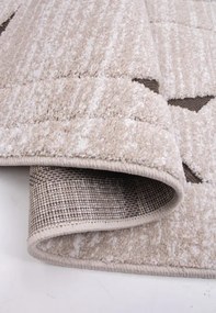 Koberec FASHION 32024/K110