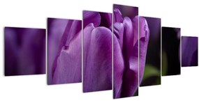 Obraz květů tulipánů (210x100 cm)