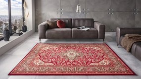 Nouristan - Hanse Home koberce Kusový koberec Mirkan 104098 Oriental red - 80x150 cm