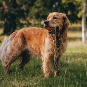BeCoThings Beco Slinger Ball oranžová 46cm / Hračka pro psy