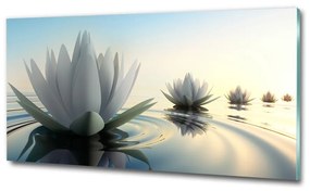 Wallmuralia Fotoobraz na skle Květ lotosu 100x50
