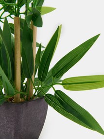 Sinsay - Decorative plant in a pot - zelená