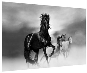 Obraz koně (90x60 cm)